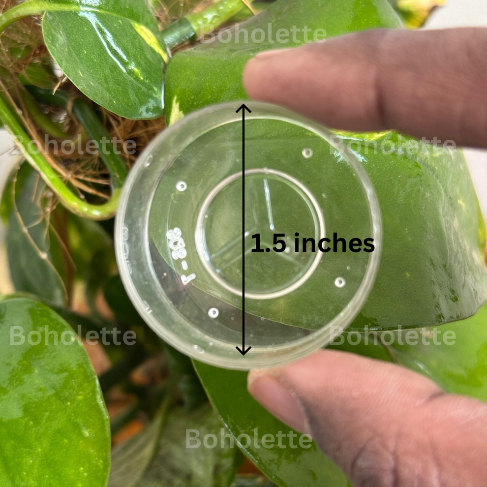 Polycarbonate Circle Tlight – Boholette